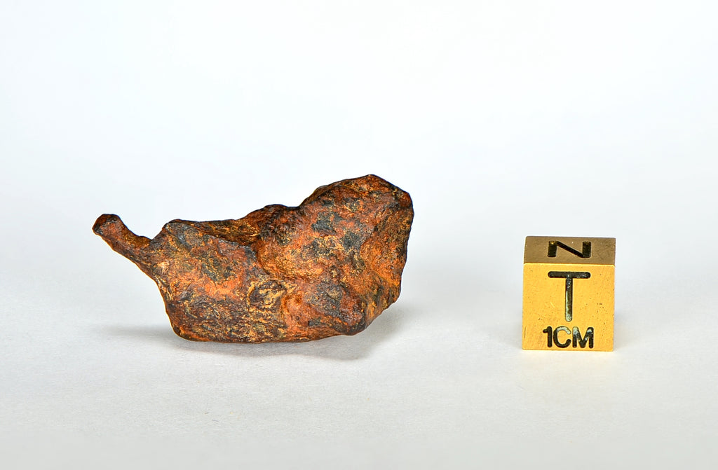 Iron Meteorite - AGOUDAL 27.17g Collectors Specimen I IIAB Iron Meteor ...