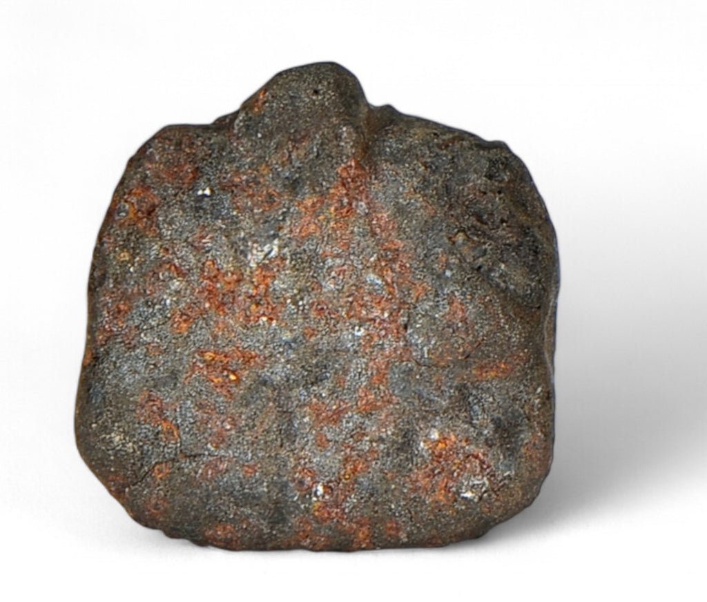 4.27g ORDINARY CHONDRITE Meteorite with FRESH CRUST – Top Meteorite