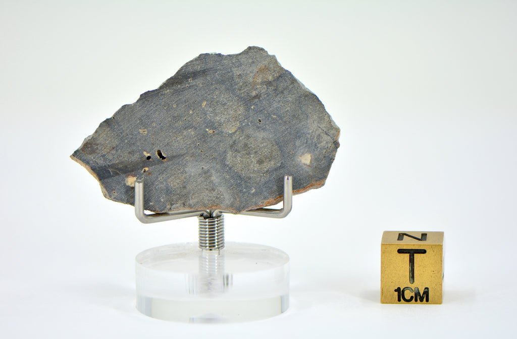 5.58g Eucrite Monomict Slice | HED NWA 8555 – Top Meteorite
