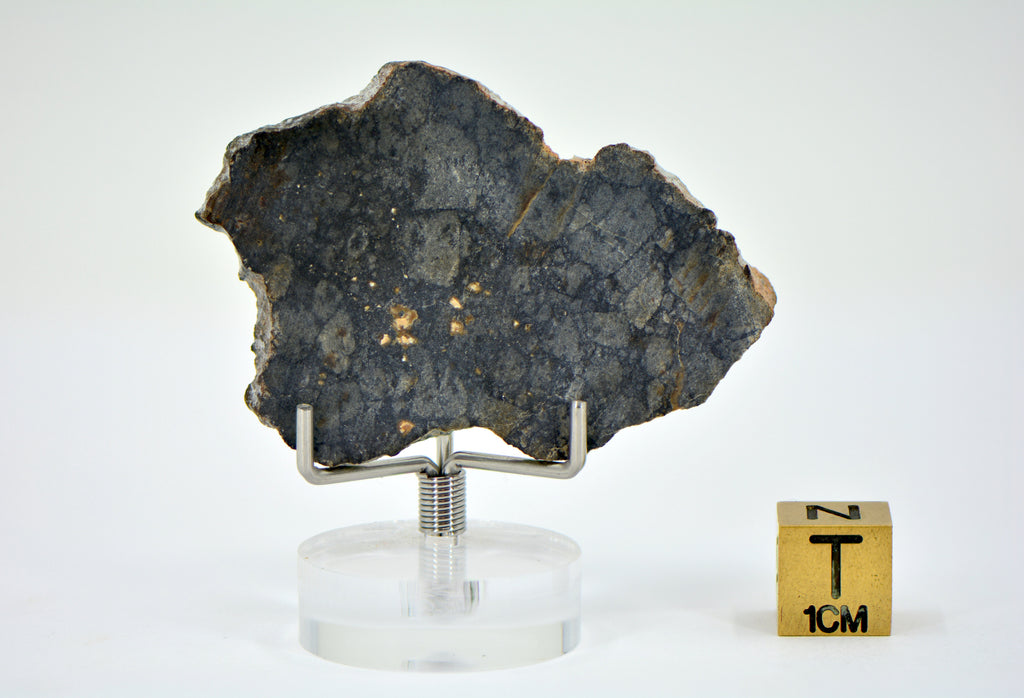 8.34g Eucrite Monomict Slice | HED NWA 8555 – Top Meteorite