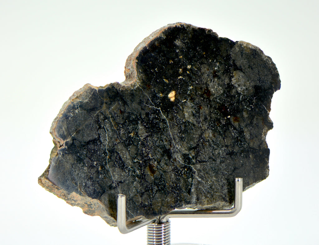 8.47g Eucrite Monomict Slice | HED NWA 8555 – Top Meteorite